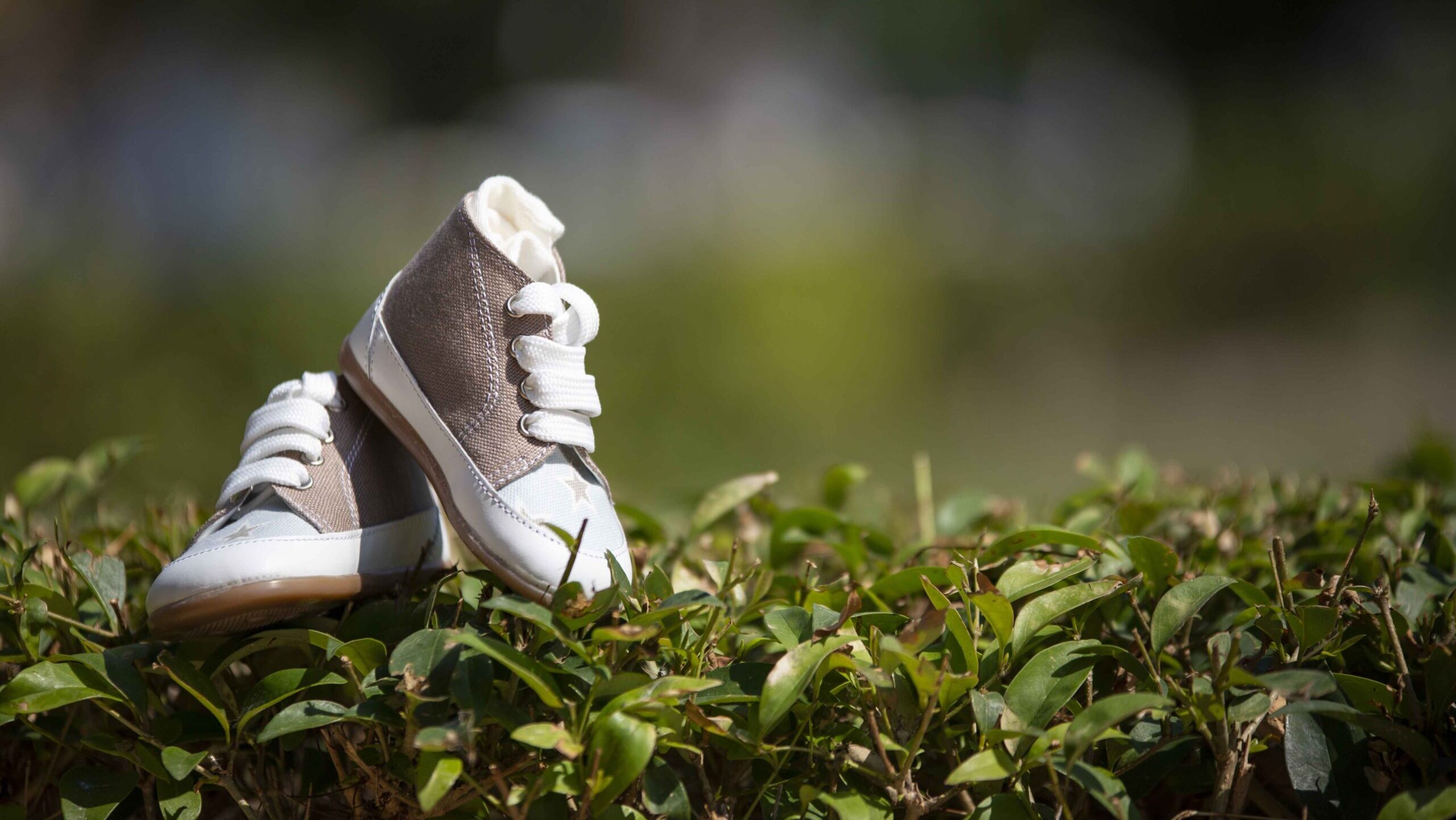 2025年10款防水噴霧推薦｜梅雨季必備小物！Timberland、3M 評價 - iGood 愛好物